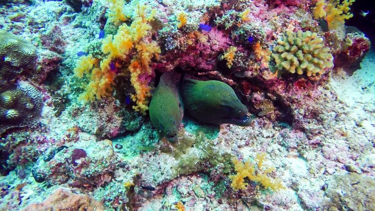 Exploring the Exotic Banda Islands, Indonesia | Our Travel Tip